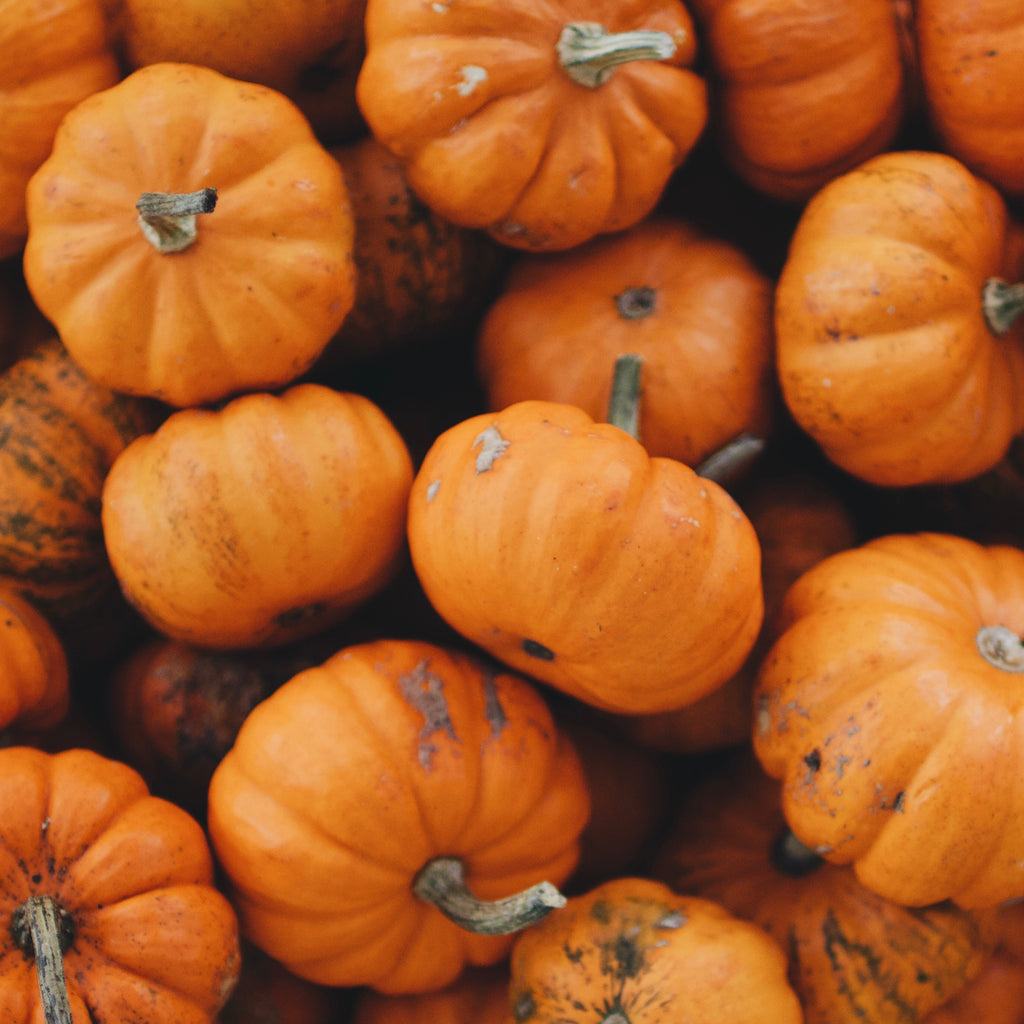 5 recetas que puedes preparar con auyama/calabaza – SaschaFitness