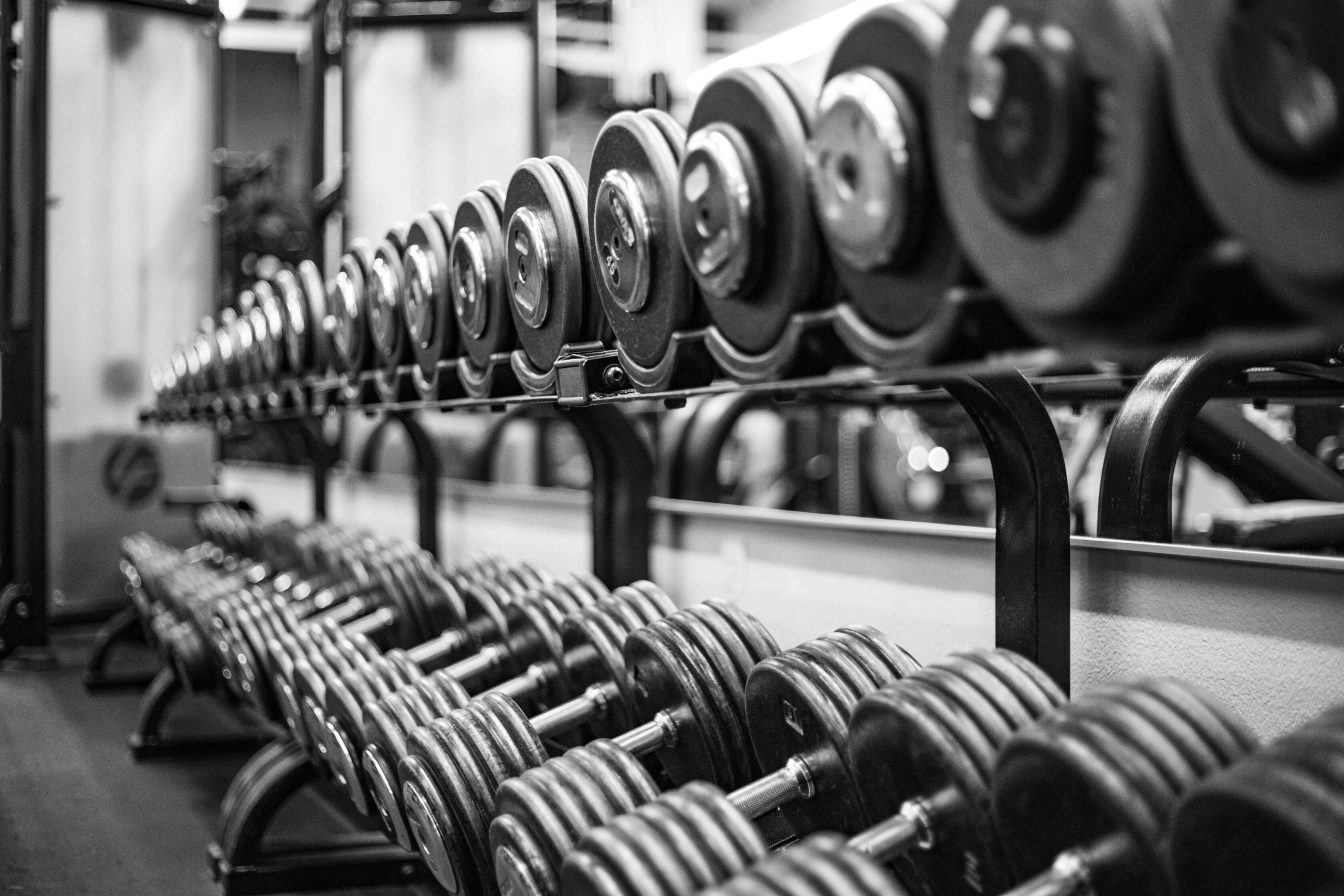 Verdades sobre el entrenamiento de pesas – SaschaFitness