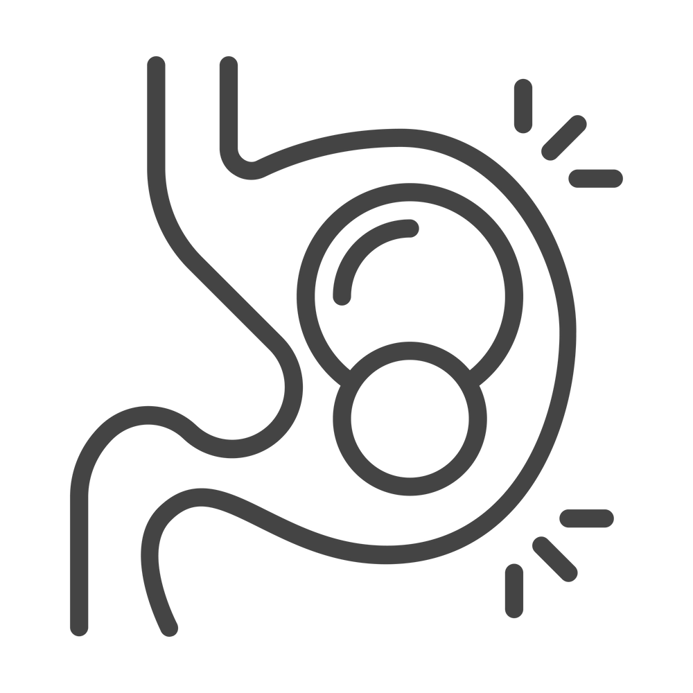Bliss Gut And Digestive Health – SaschaFitness